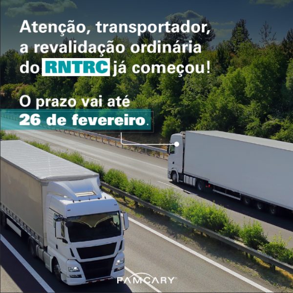 Pamcary – Seguros Pamcary para você e sua empresa